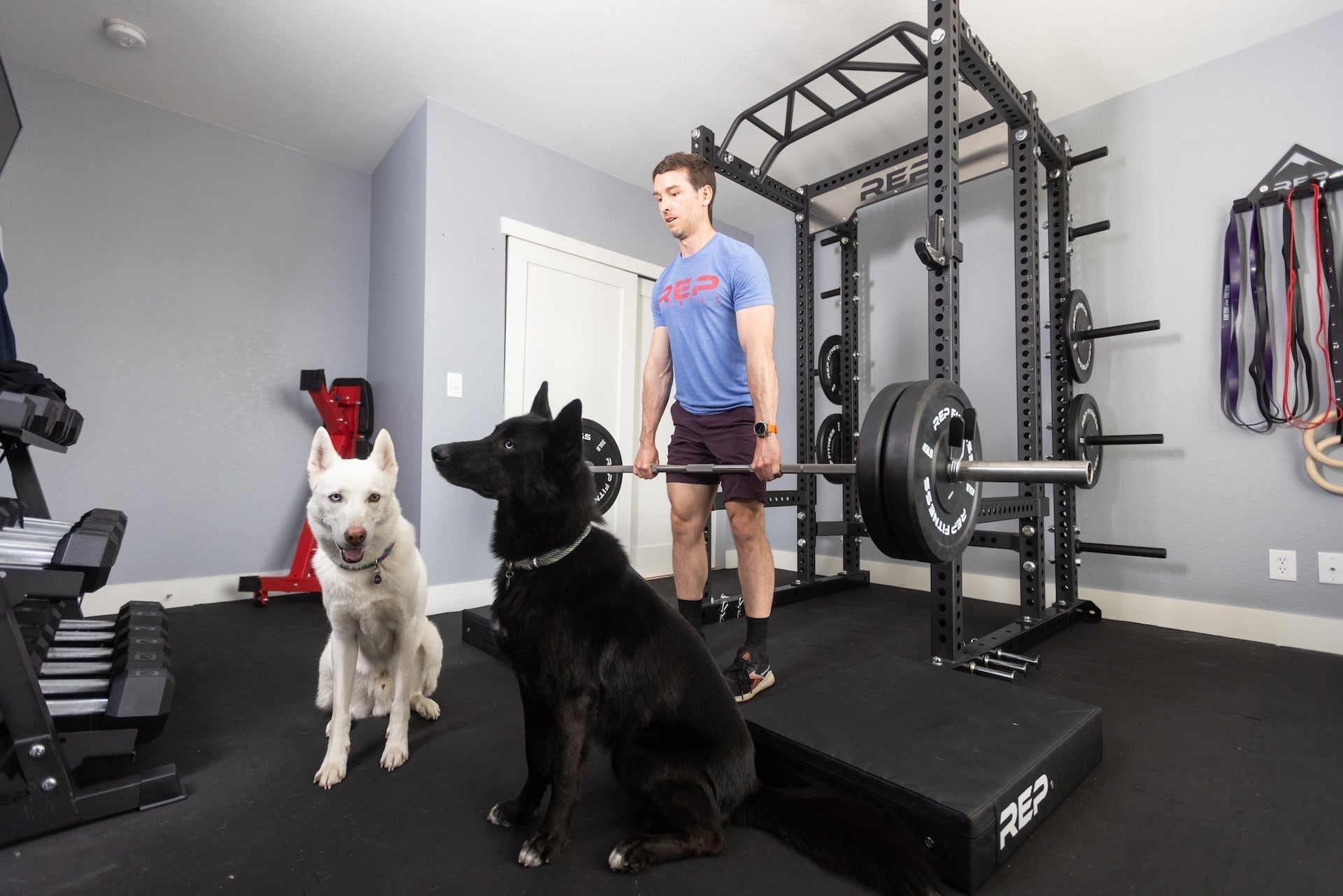 How to Customize Your Power Rack | REP Fitness – REP Fitness UK