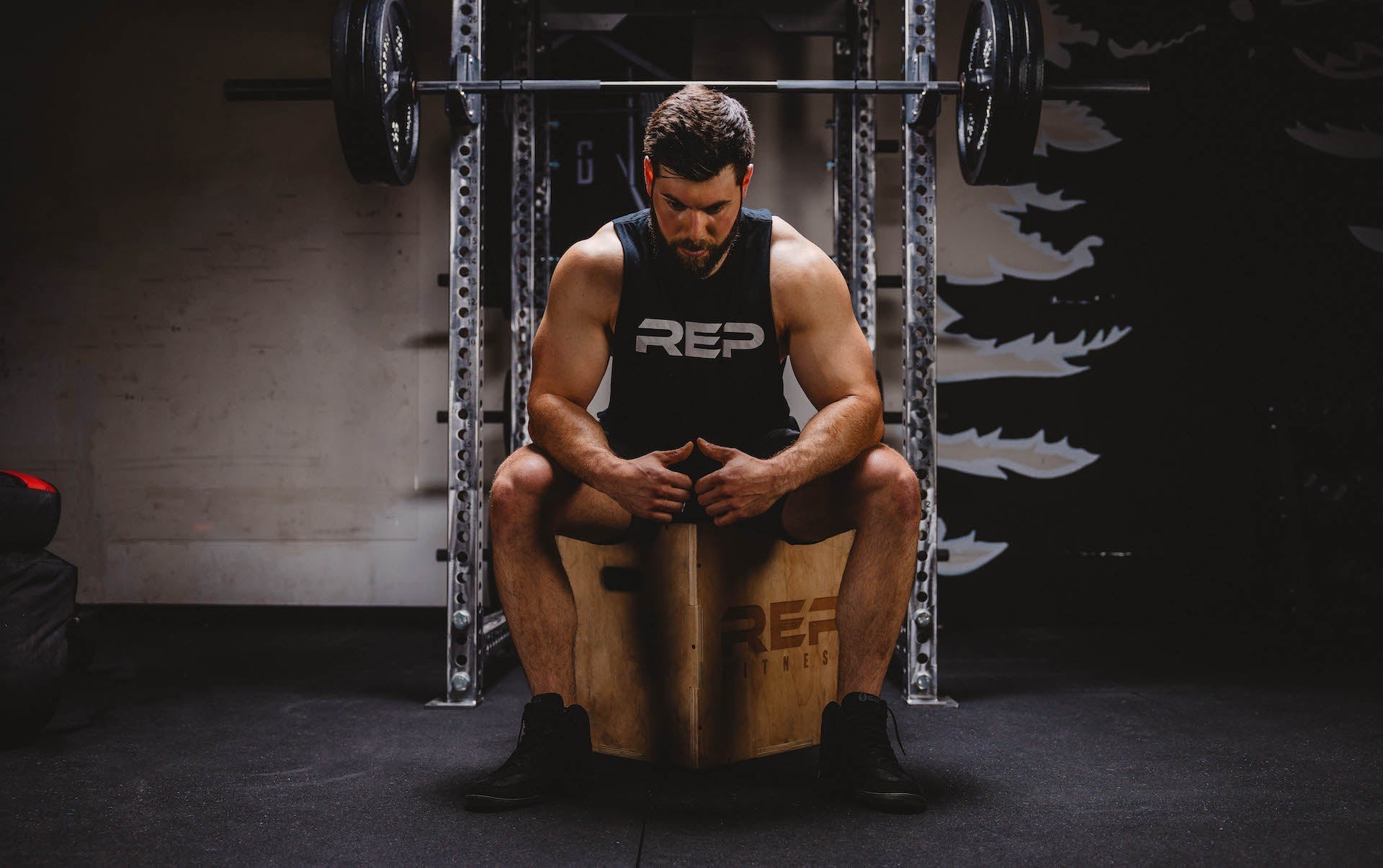 Home or Commercial Gym Aesthetics | REP – REP Fitness UK
